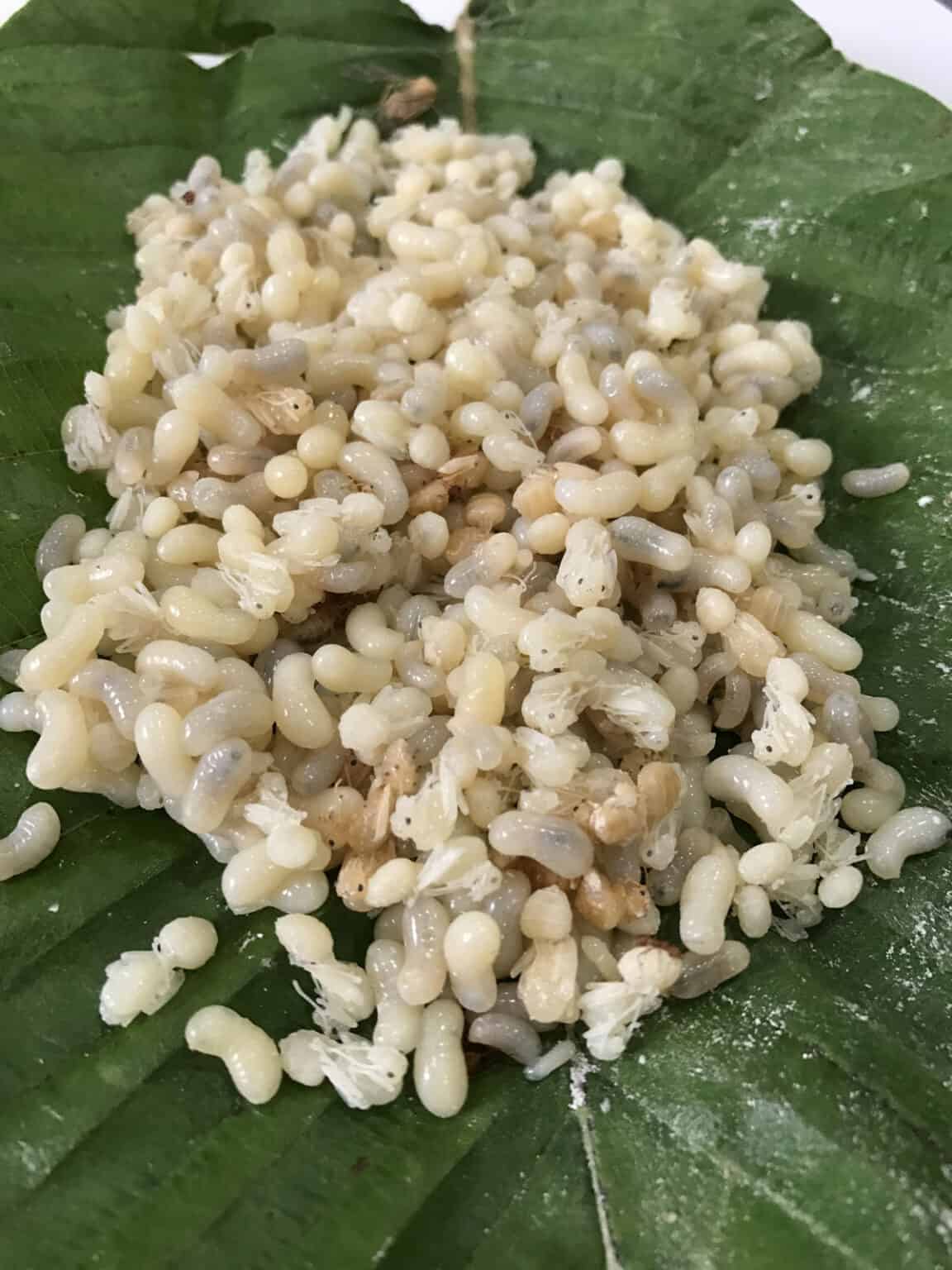 Escamoles - Comida Mexicana